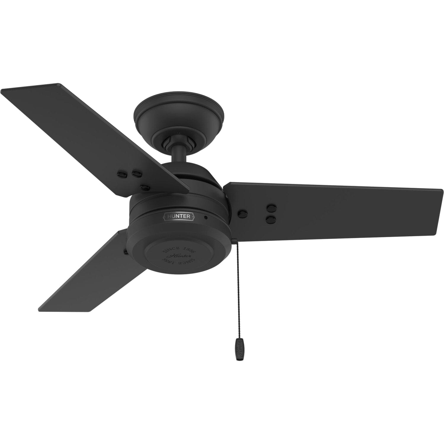 Hunter Cassius Outdoor 36 inch – Hunter Fan
