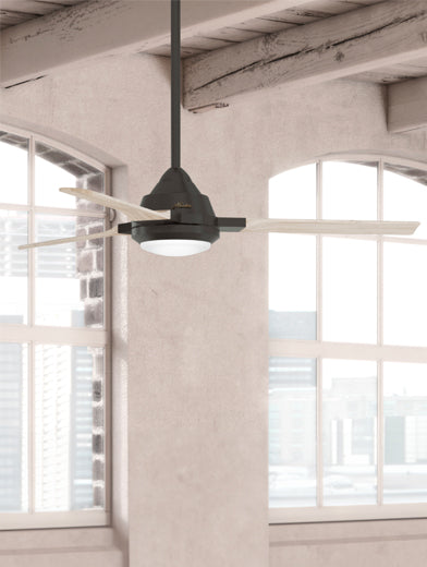 Hunter Outlet Sale – Hunter Fan